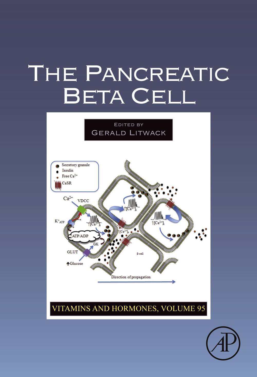 Amazon.com: The Pancreatic Beta Cell (Vitamins and Hormones, Volume 95 ...