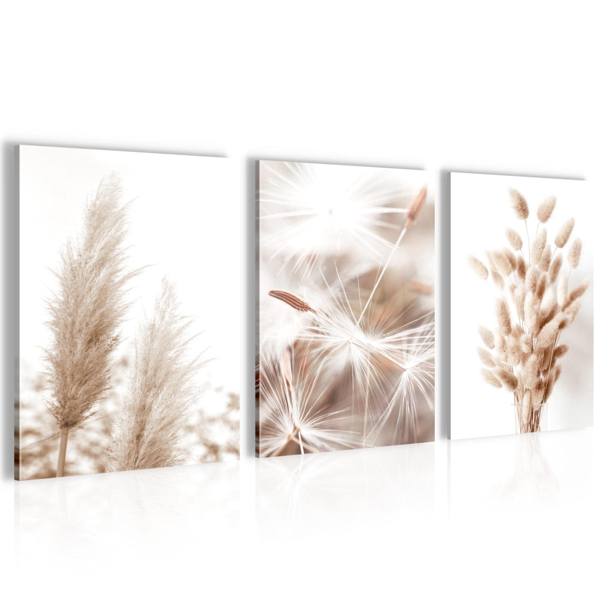 Amazon.de: Novart Wandbilder Set Boho Pampasgras - KOMPLETT AUFHÄNGFERTIG - Wohnzimmer ...