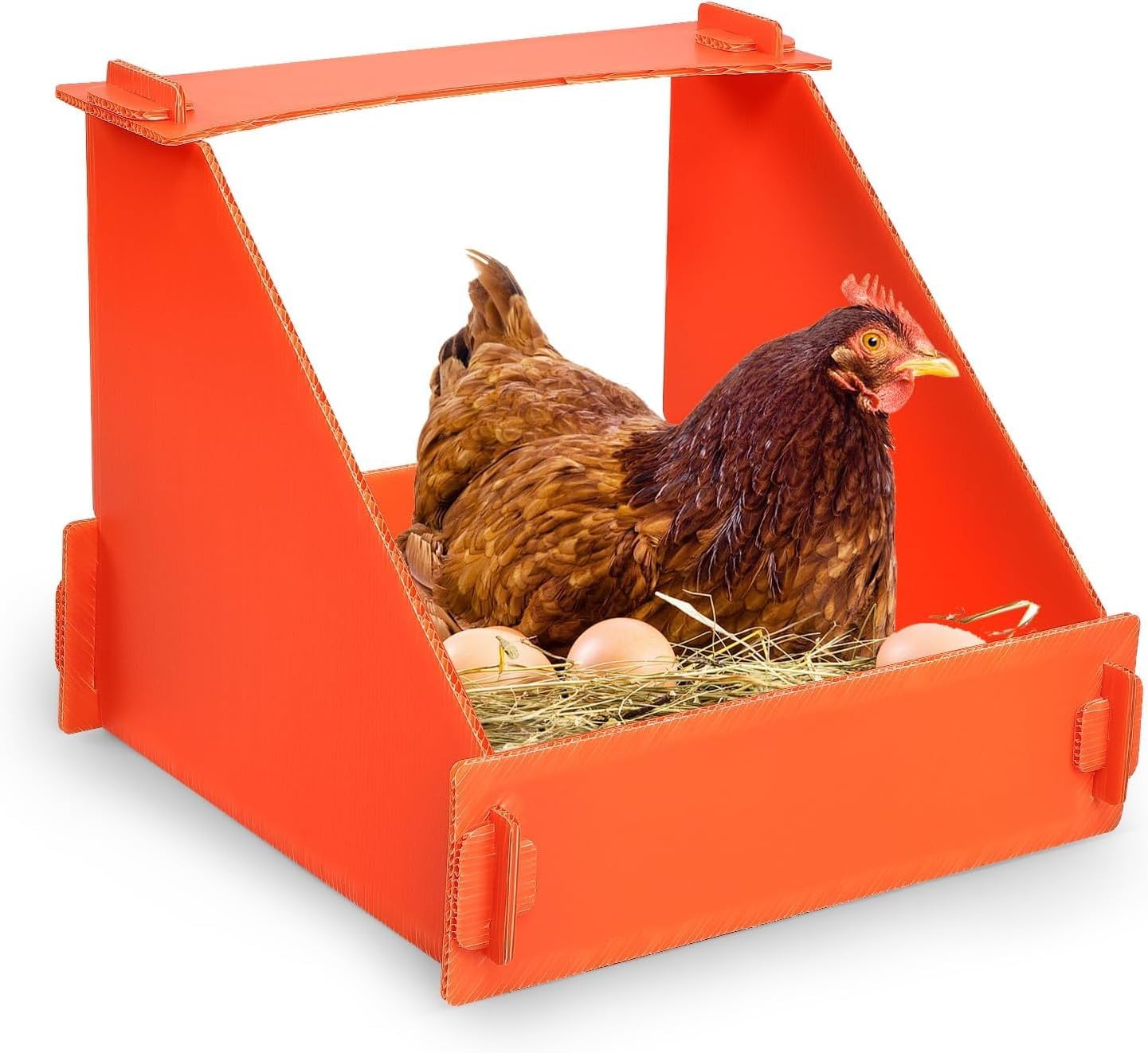 Amazon.com: EARTHSON 4 Pack Nesting Boxes for Chickens, Orange Plastic ...