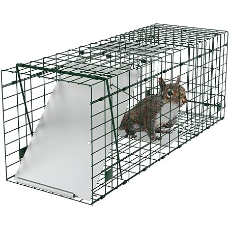 Amazon.com : HomGarden Catch Release Humane Live Animal Trap Cage for ...