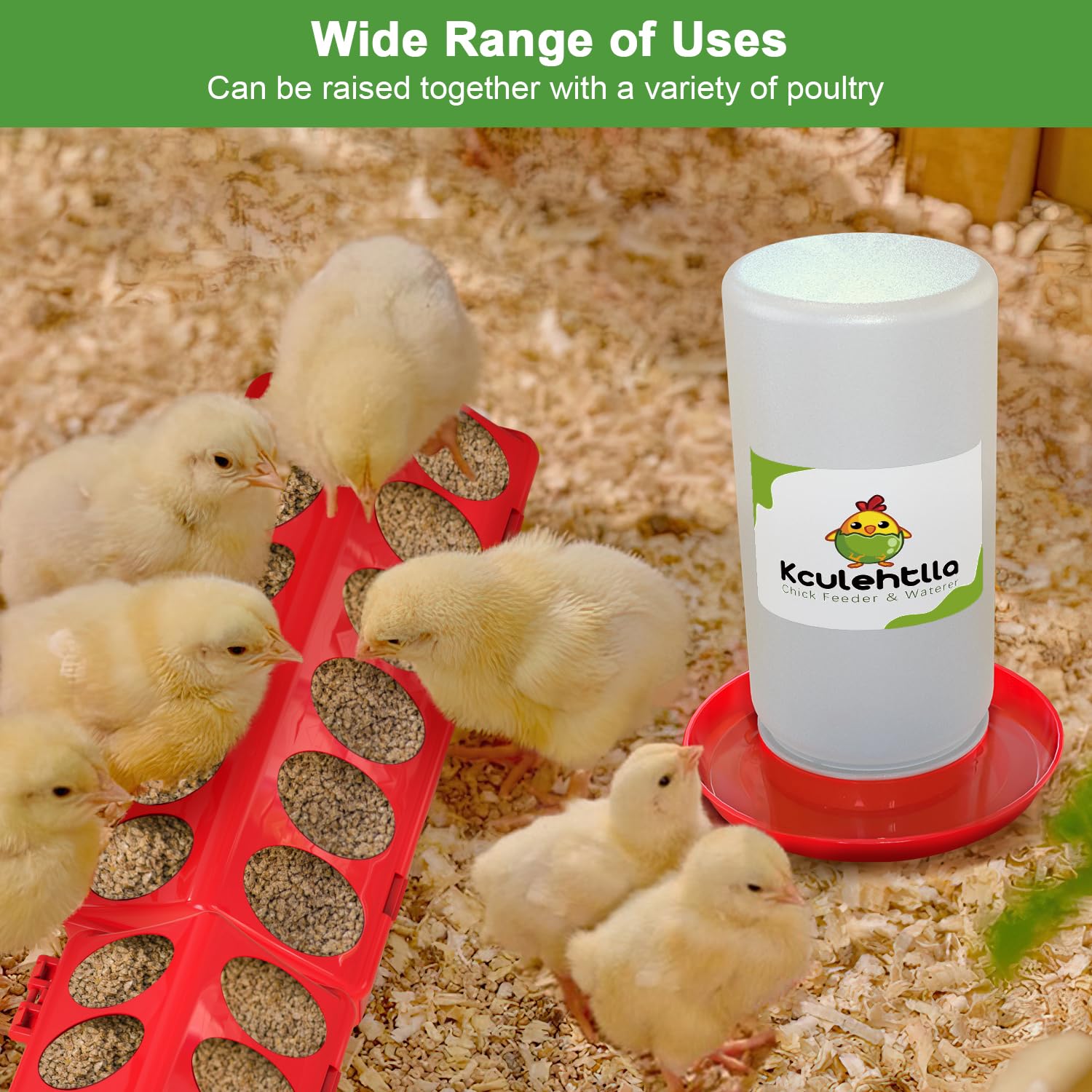 Snapklik.com : Chick Feeder And Waterer Kit, Chick Feeder Trough And 0. ...