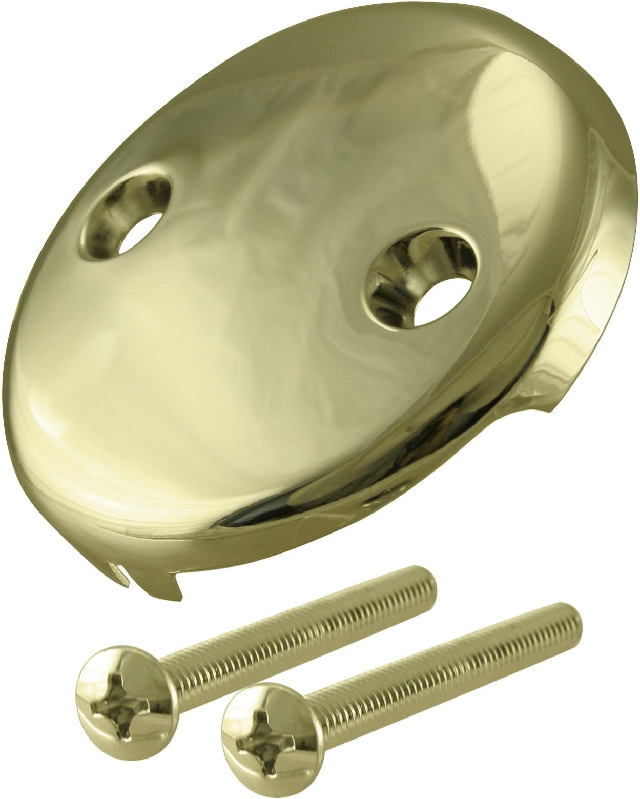 Amazon.com: RP31556CZ Faucet Overflow Plate and Screws Replacement for ...
