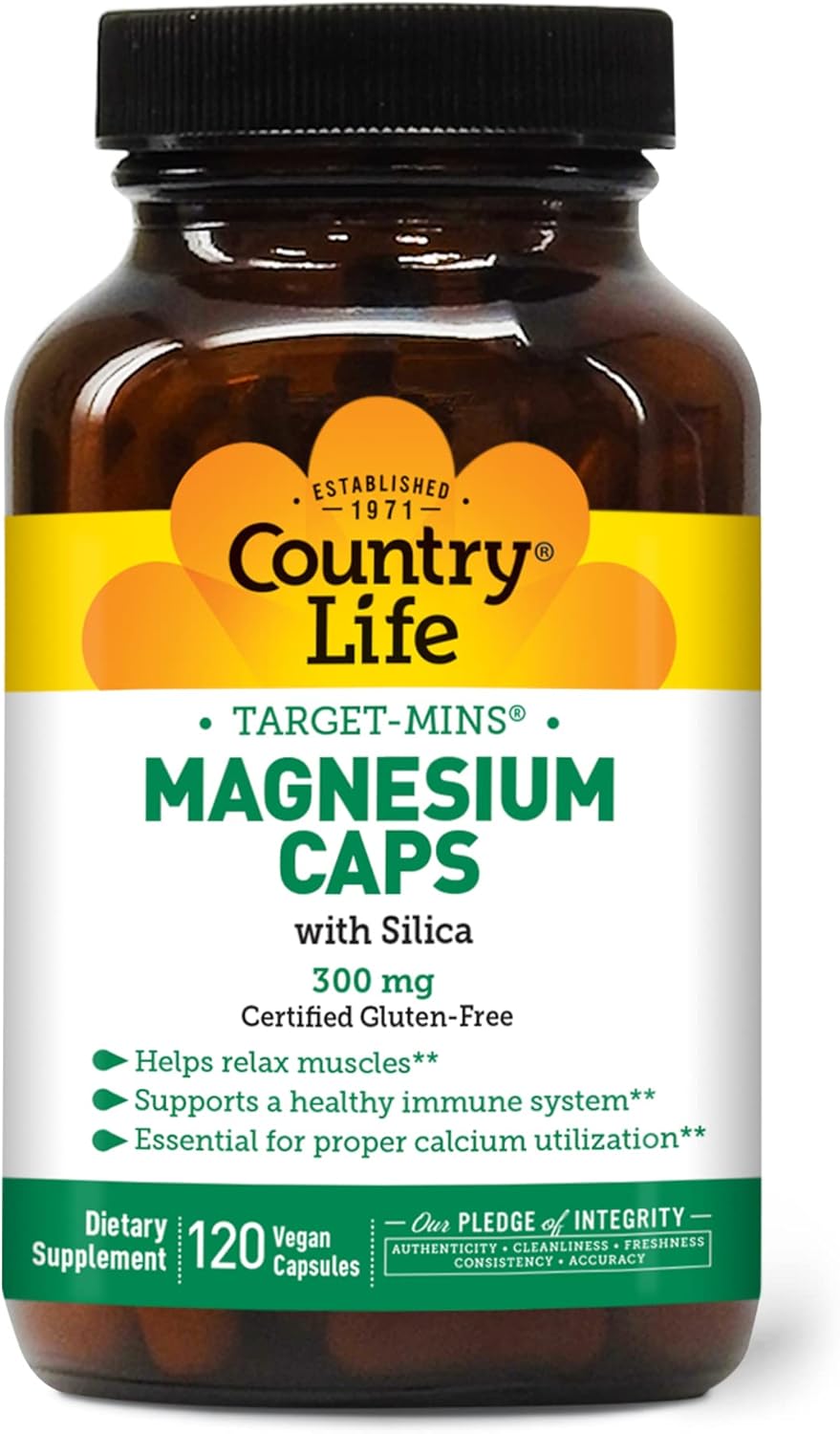 Amazon.com: Target-Mins Magnesium with Silica 300 mg 120 Vegetarian ...