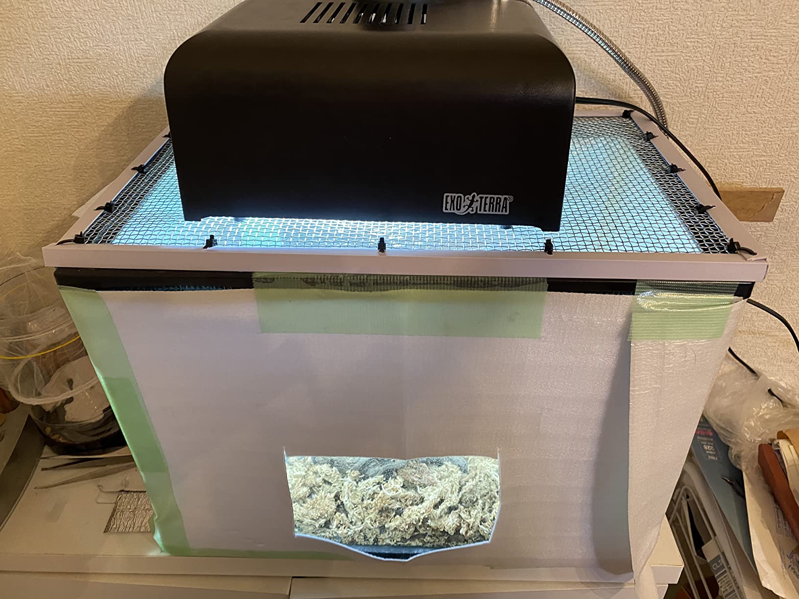 Amazon | エキゾテラ GEX EXOTERRA ナチュラルライト 13W PT2190 可視光線 UVA 爬虫類用ライト 日中の光 可視光線・UVAを中心に照射 | EXO TERRA ...