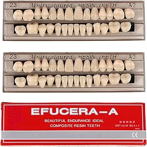 Amazon.com: 56 Pieces False Teeth Dental Complete Acrylic Resin Denture ...