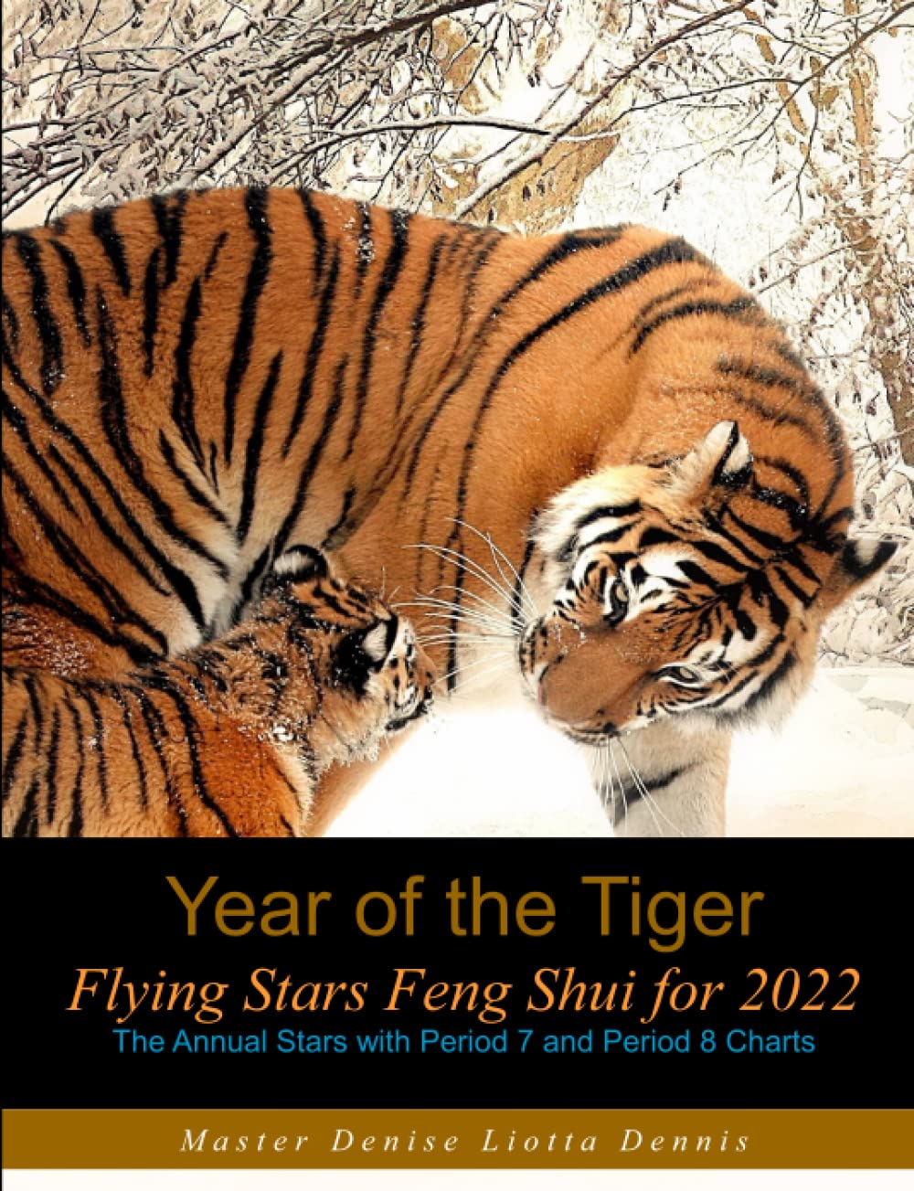 Buy Year of the Tiger Flying Stars for 2022: The Annual Stars with ...