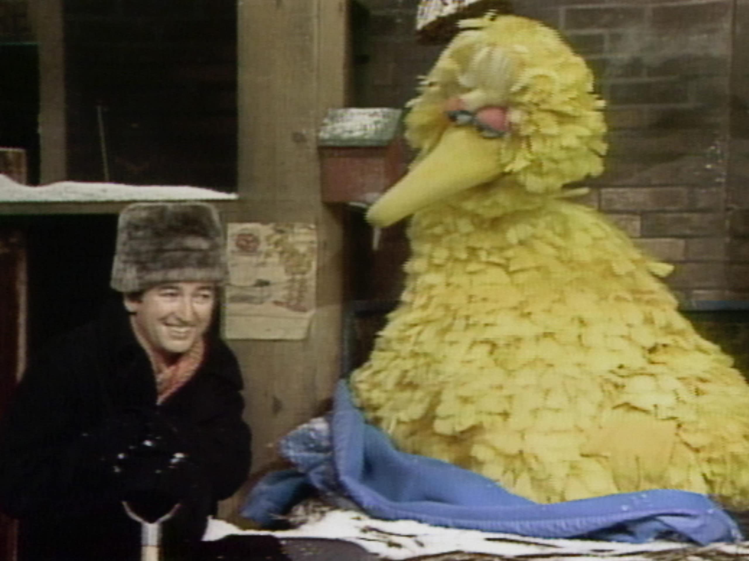 Watch Sesame Street - Season 7 | Prime Video