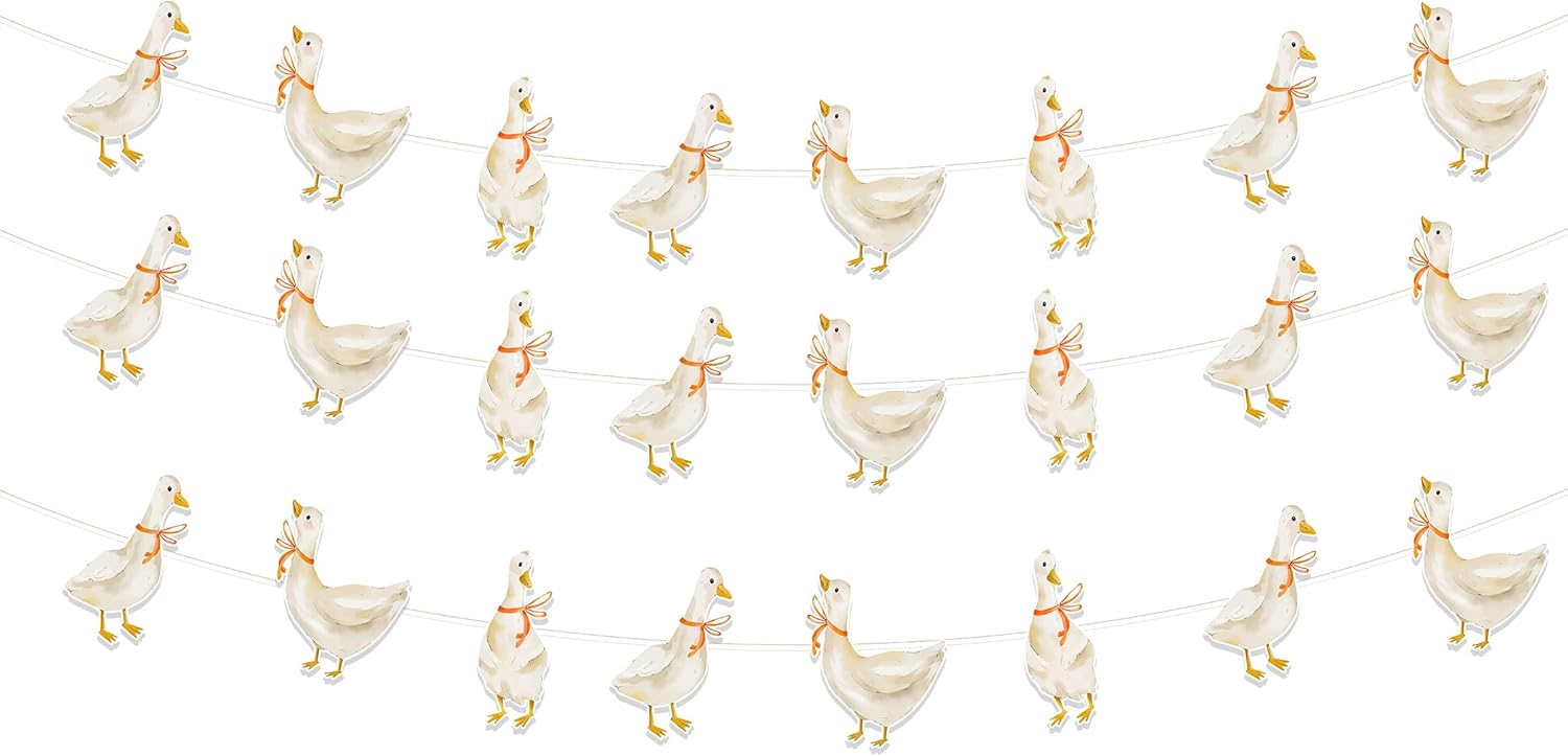 Amazon.com: Goose Theme Garland, Silly Goose Baby Shower Decorations ...