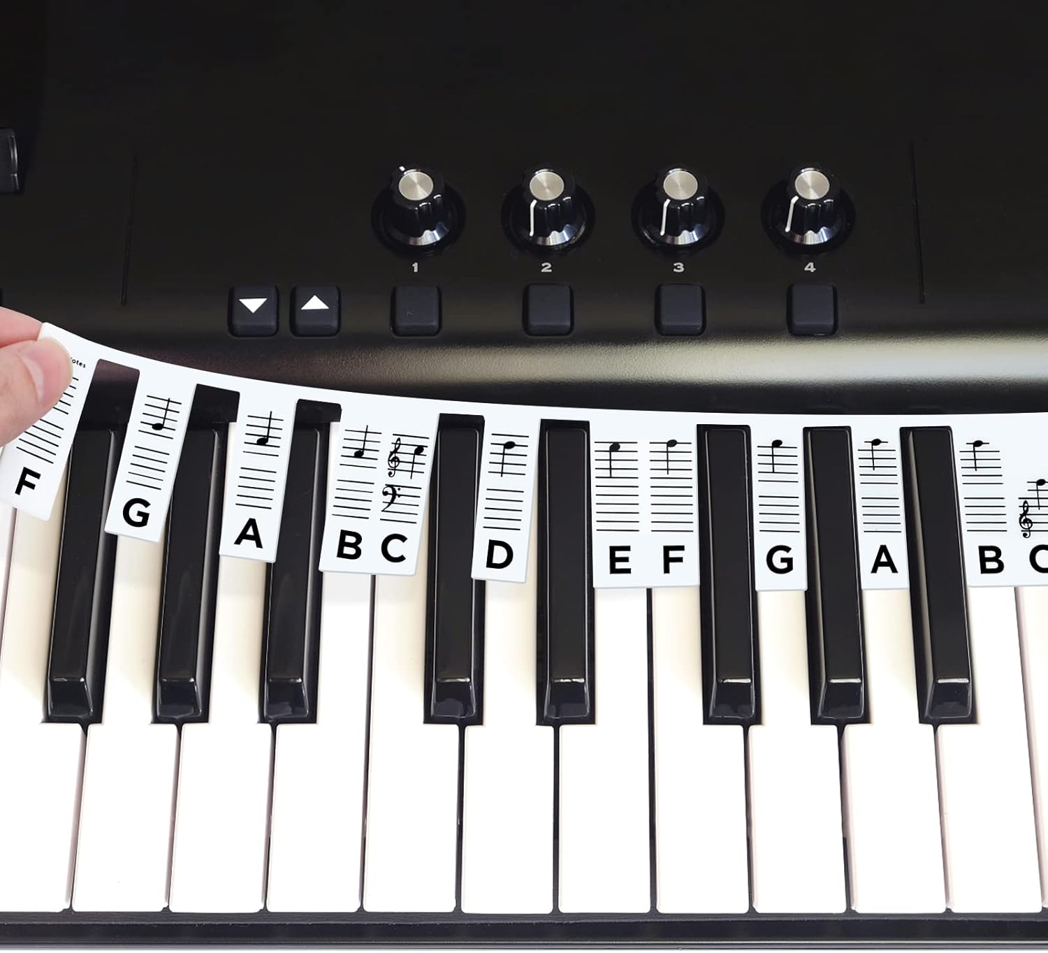 Amazon.com: Piano Key Stickers Removable Piano Keyboard Note Labels for ...