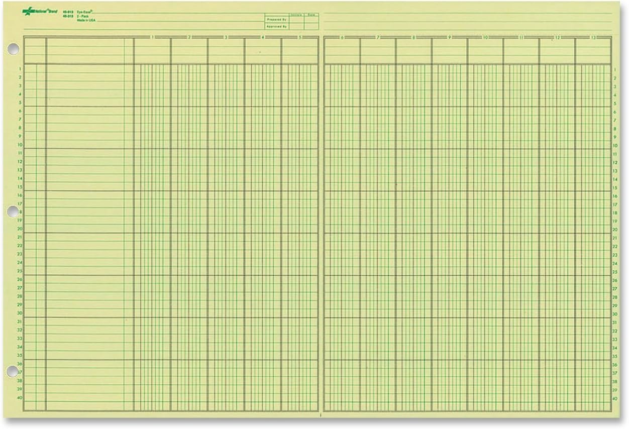 NATIONAL Brand Analysis Pad, 13 Columns, Green Paper, 11 x 16.375", 50 ...