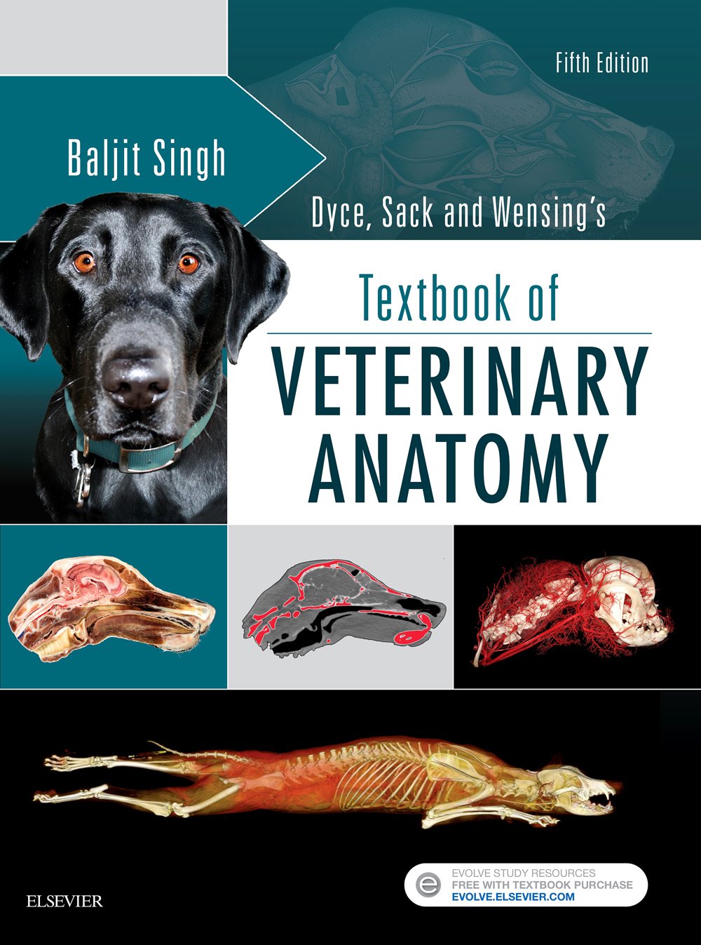 Dyce, Sack, and Wensing's Textbook of Veterinary Anatomy: 9780323442640 ...