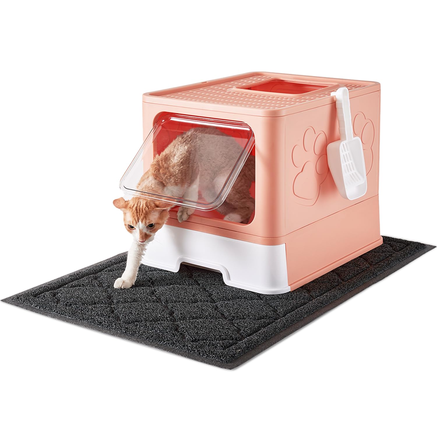 cat | Nellis Auction