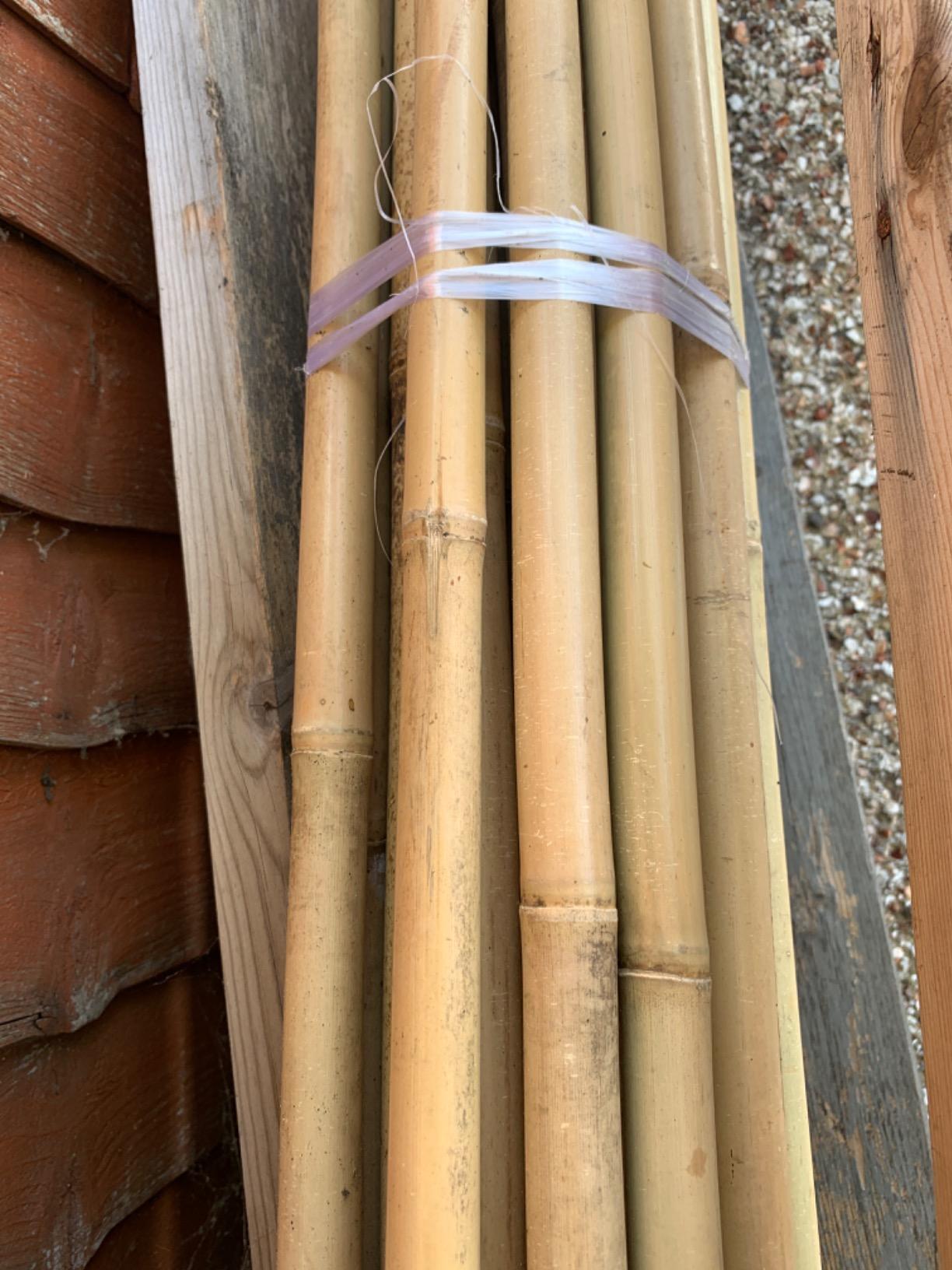 Bamboo Canes For Gardens/Plant Support | 3m | 24-26mm | Pack of 20 ...