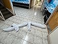 Amazon.com: RoundFunny 2 Pcs 120 Inch White Large Inflatable Airplane ...