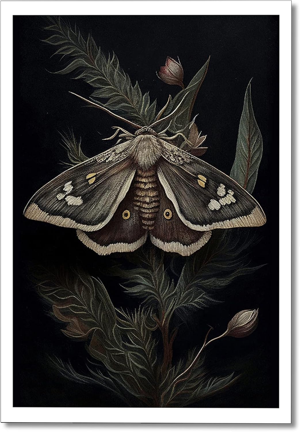 Amazon.com: XMQQLL Vintage Insect Moth Poster for Room Goblincore ...