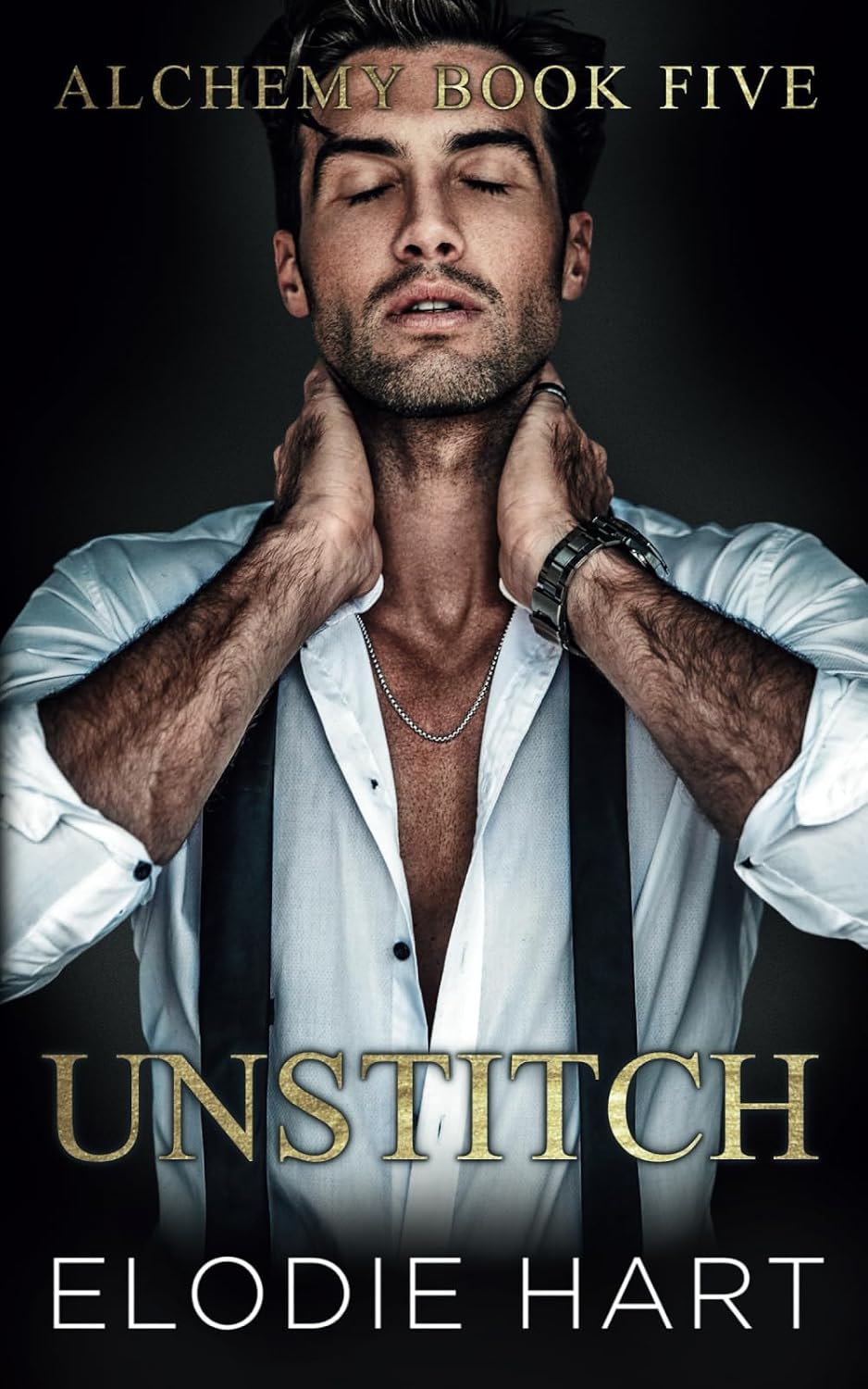 Amazon.com: Unstitch: Special Model Cover Edition (Alchemy: Special ...