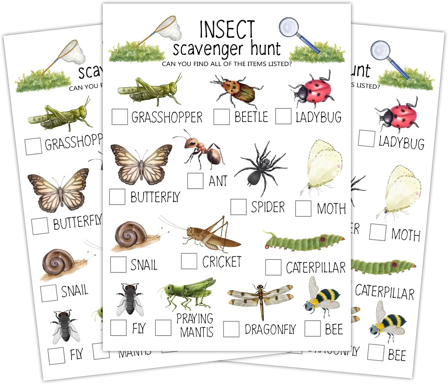 Amazon.com: ltazhyi Insect Scavenger Hunt Cards Set of 30 Pcs, Nature ...