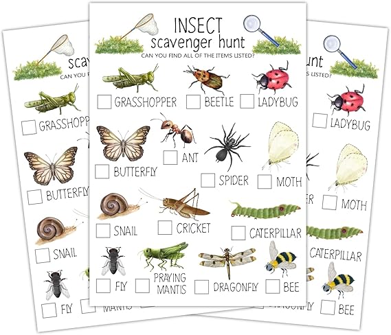 Amazon.com: ltazhyi Insect Scavenger Hunt Cards Set of 30 Pcs, Nature ...
