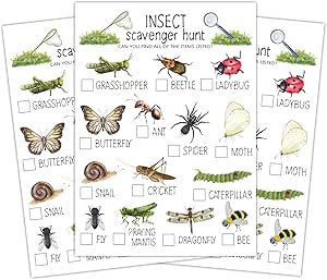 Amazon.com: ltazhyi Insect Scavenger Hunt Cards Set of 30 Pcs, Nature ...