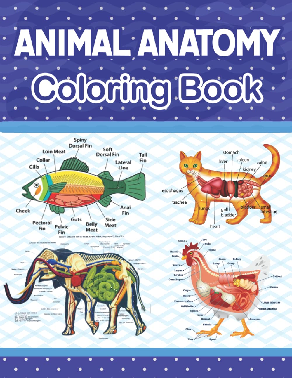 Animal Anatomy Coloring Book Introduction To Animal Anatomy And ...