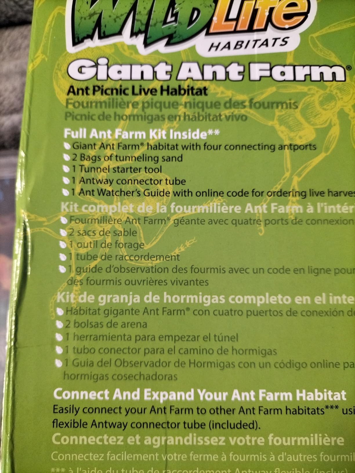 Uncle Milton Giant Ant Farm - Large Viewing Area - Care for Live Ants ...