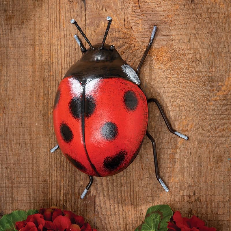 Amazon.com: Bits and Pieces - Garden Ladybug - 5-1/2" x 6" - Metal ...