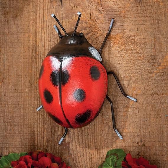 Amazon.com : Bits and Pieces - Garden Ladybug - 5-1/2" x 6" - Metal ...