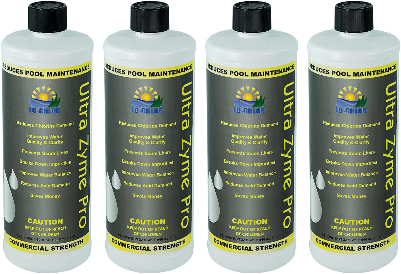 Amazon.com: BioGuard Pool Magnet Plus, 1 Quart, Pack of 2, Concentrated ...