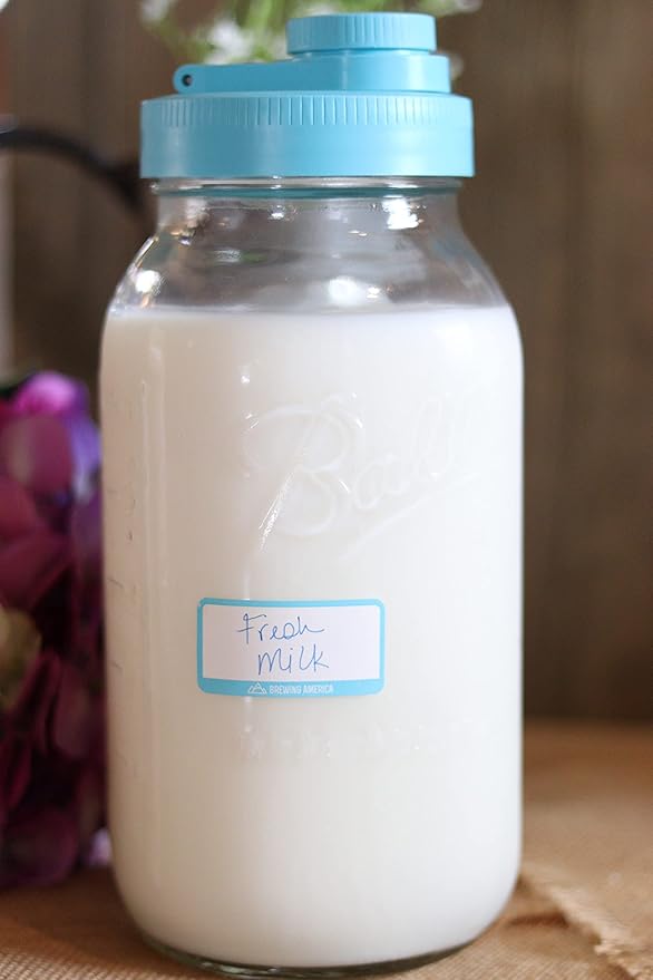 Amazon.com: 2qt Mason Jar Pitcher and Labels (Teal): American-Made ...