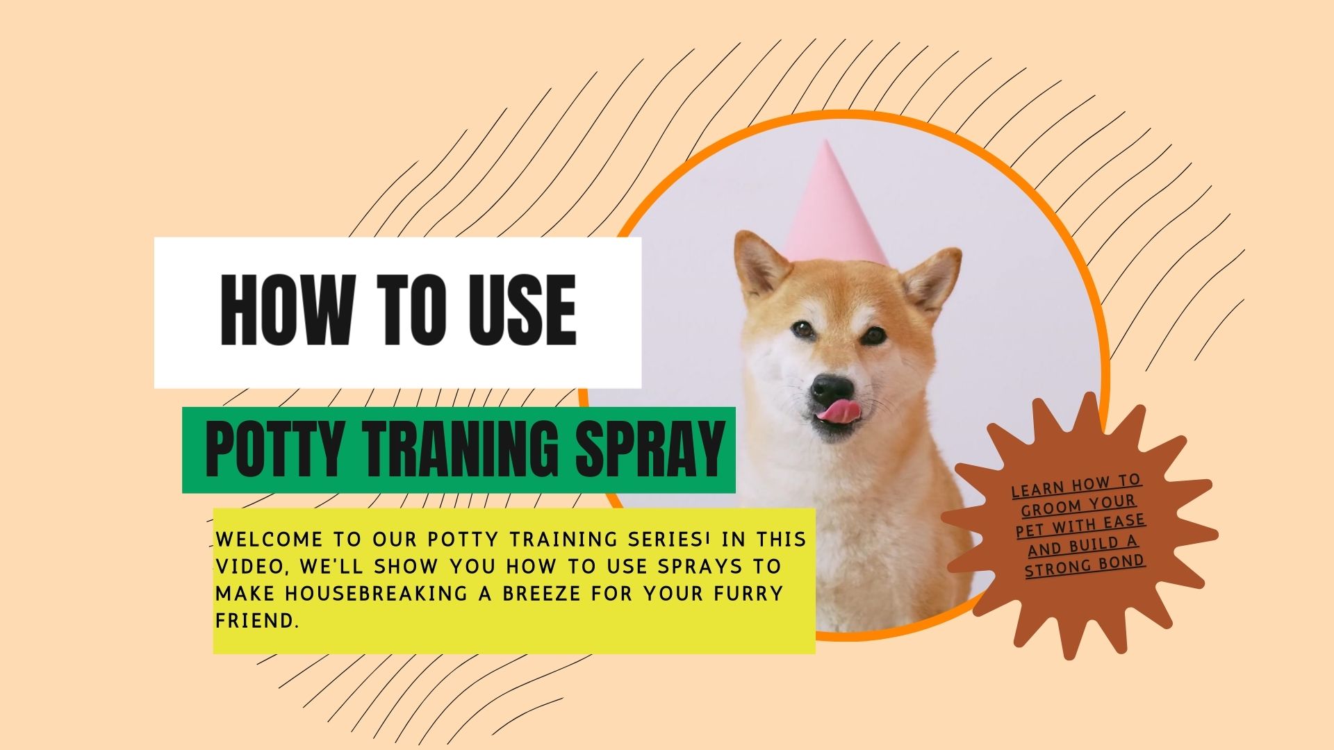 Dog Potty Training Memes