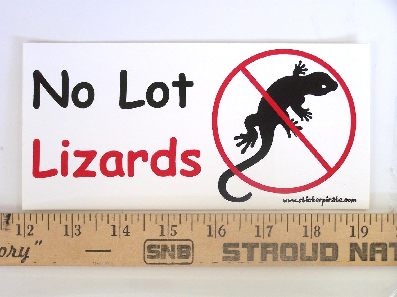 * Magnet* No Lot Lizards Magnetic Bumper Sticker : Amazon.ca: Automotive