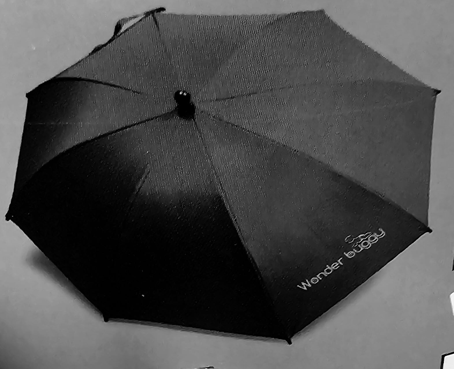 Amazon.com: Wonder Buggy Universal Stroller Parasol (Black) : Baby