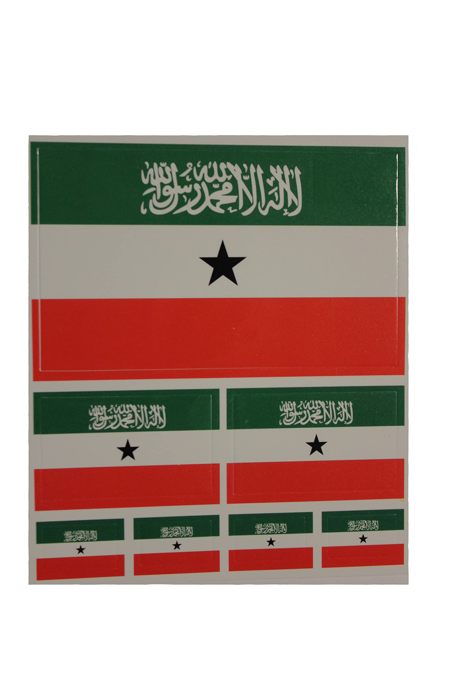 Somaliland Flag Hand
