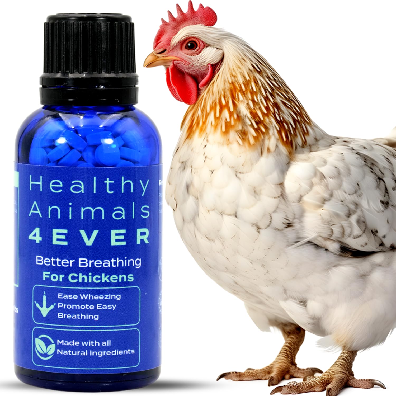 Amazon.com: HealthyAnimals4Ever All-Natural Chicken Respiratory Support ...