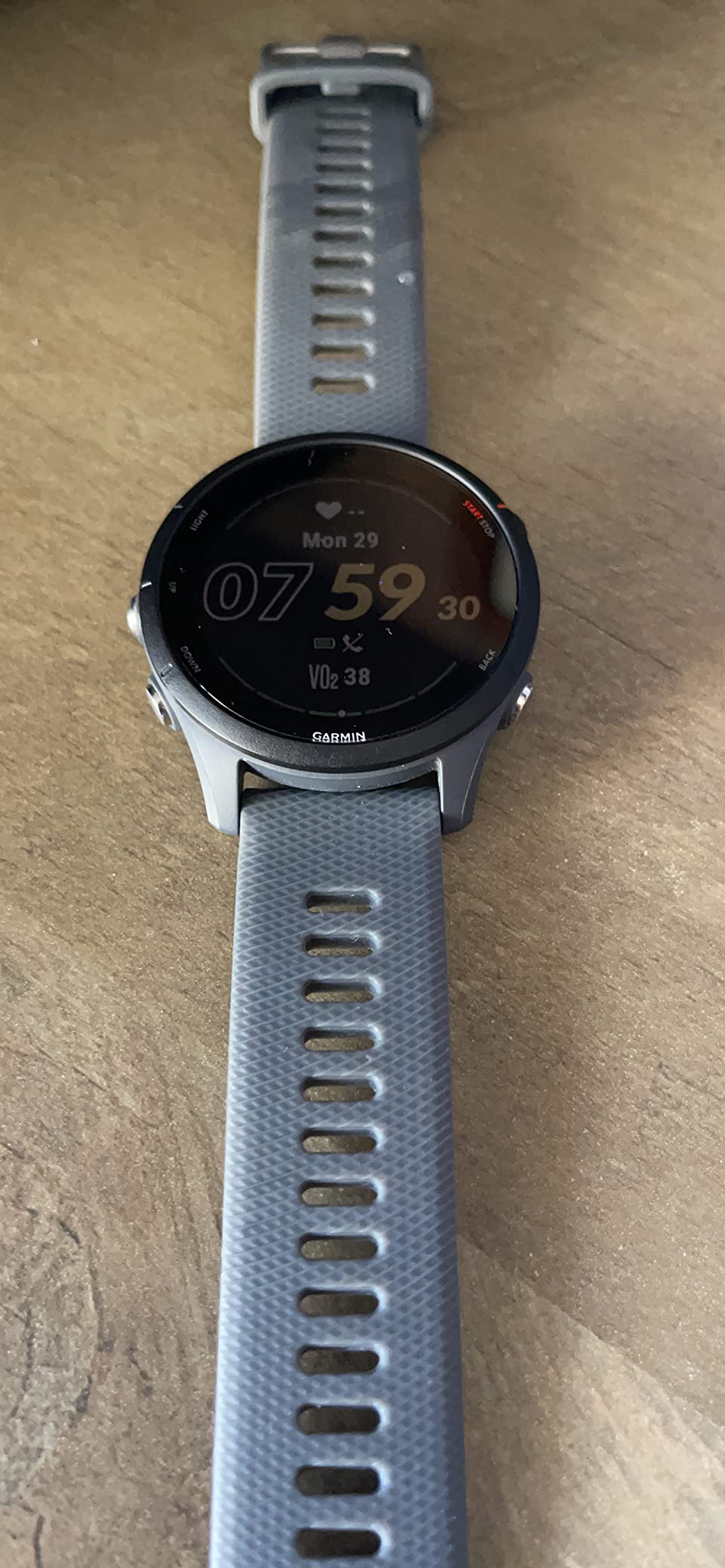 Garmin Forerunner 255 Basic, GPS, Slate Grey, KOR/SEA : Amazon.in ...