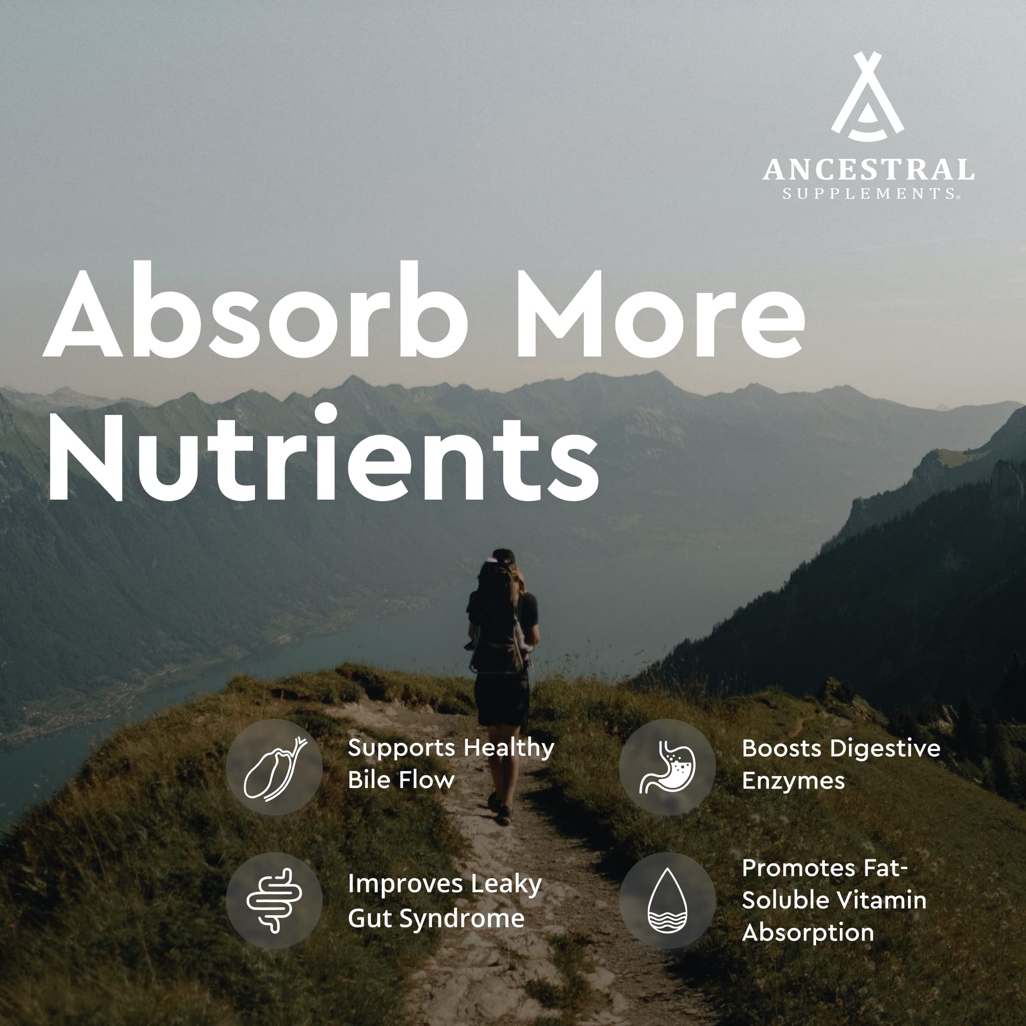 Snapklik.com : Ancestral Supplements Grass Fed Beef Gallbladder Supplements