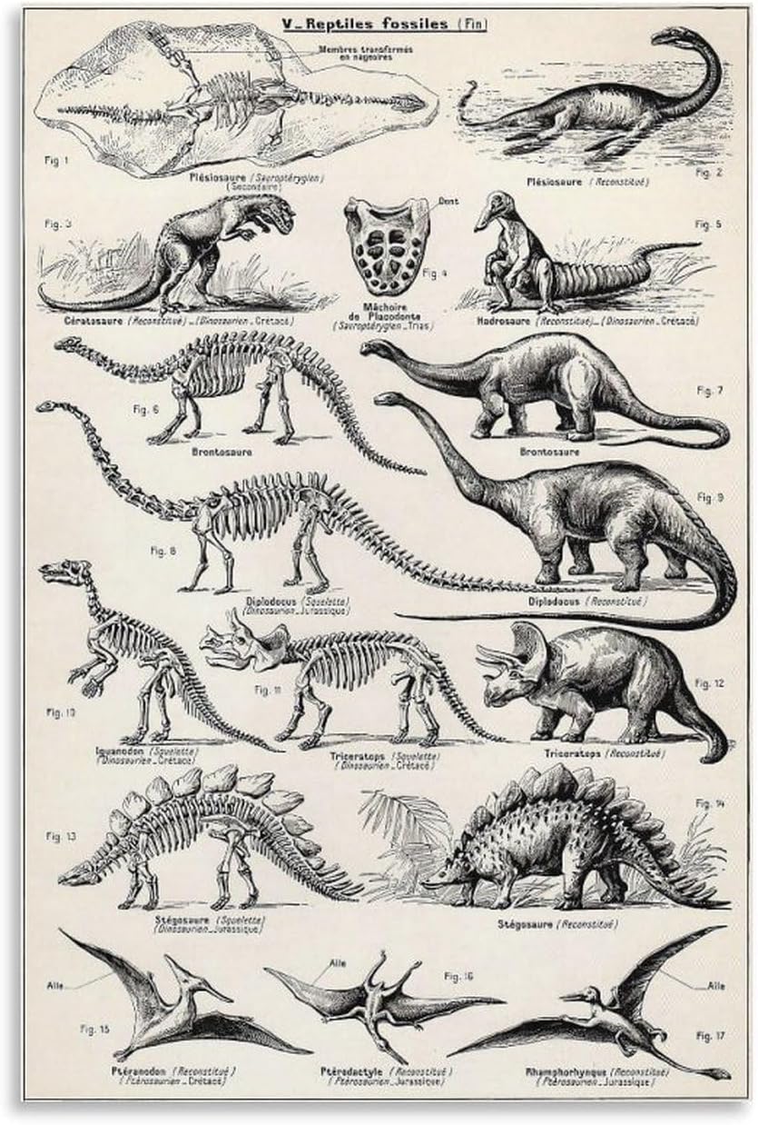 Amazon.com: Buyartforless Smithsonian Herbivores Dinosaurs 36x24 ...