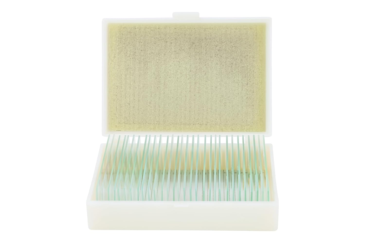 30 Microscope Slides with Specimens for Kids, Prepared Microscope ...