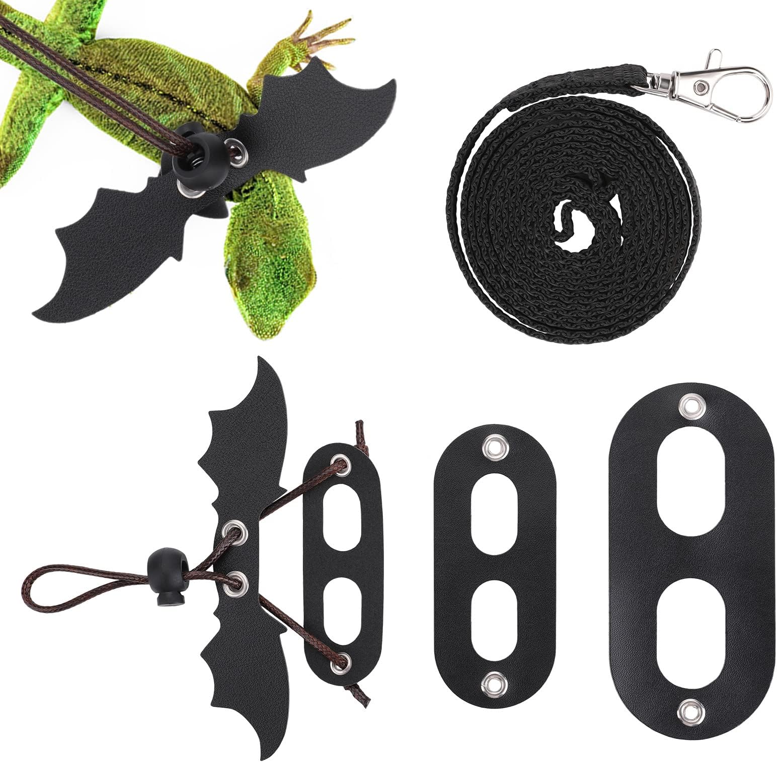 Amazon.com: cobee Bearded Dragon Harness and Leash, 3 Pcs Adjustable ...