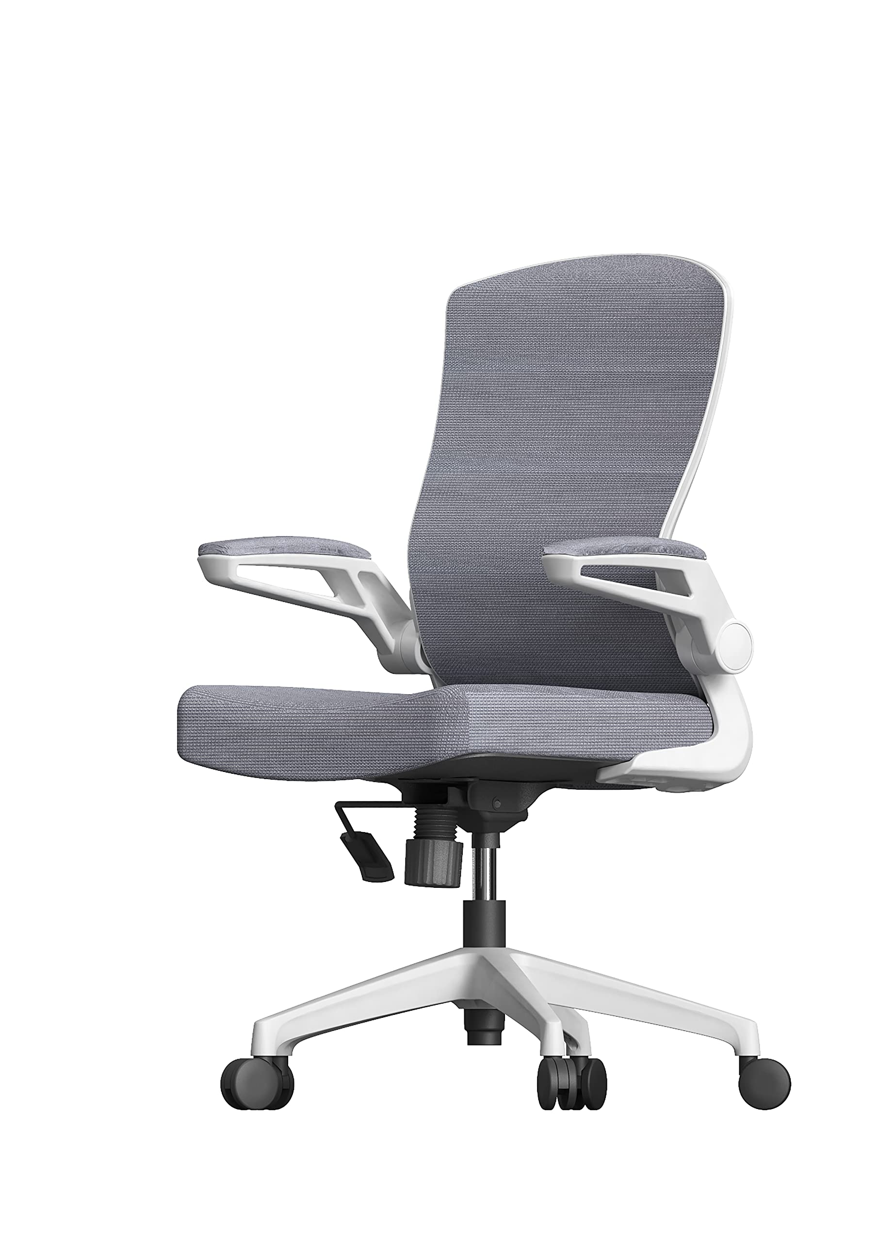 Amazon.com: Raynor Group ION Fabric Task Chair : Office Products