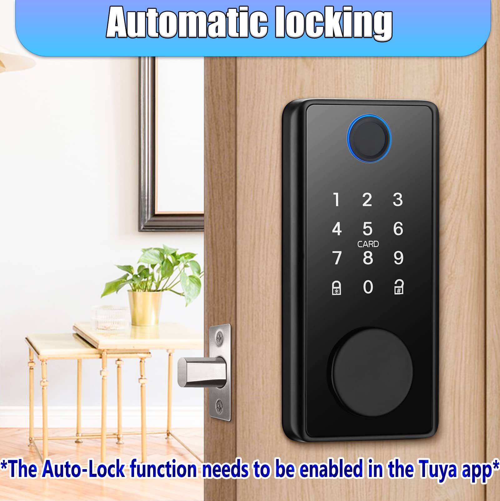 Smart Fingerprint Door Lock, Keyless Entry Door Lock with Keypad ...