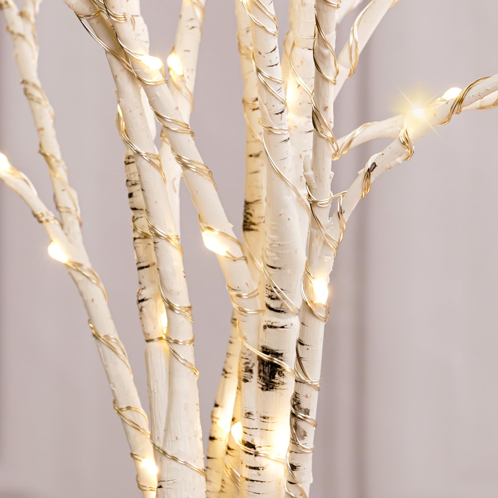 White Birch Tree Branches A Tall White Birch Tree With No Leaves. Tree