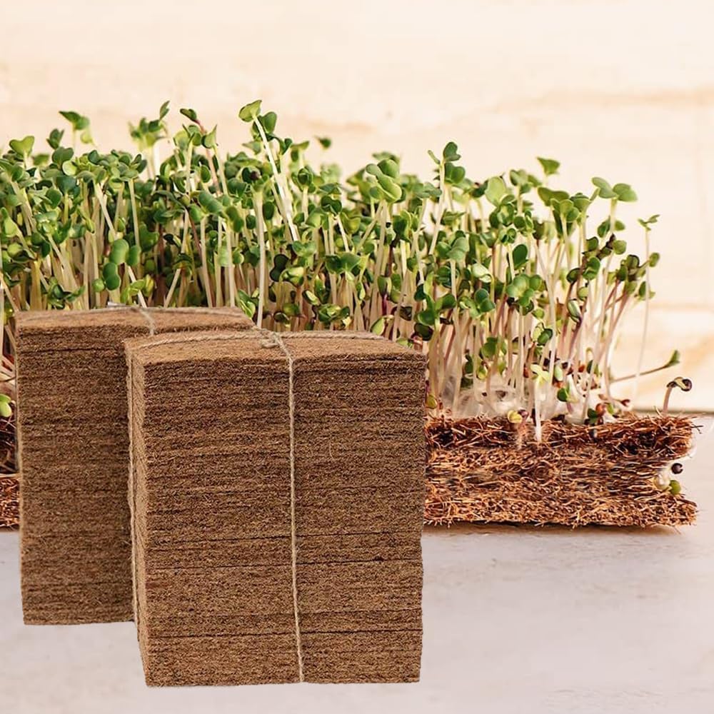 Amazon.com : JAGGY Coconut Coir Grow Mat 4” x 6” Inch Microgreen ...