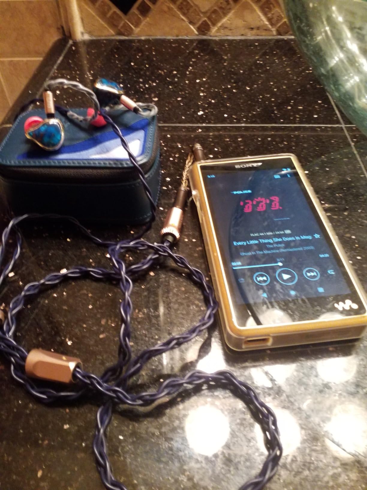 Amazon.com: Soft Clear TPU Case Compatible with Sony Walkman NW-WM1ZM2 ...