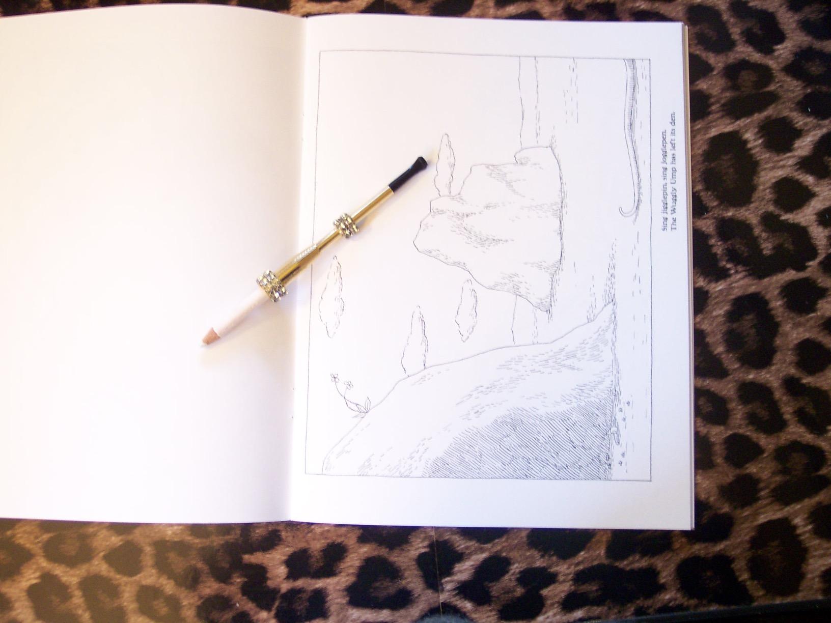 Edward Gorey Color Bk: Gorey, Edward: 9780764953460: Amazon.com: Books