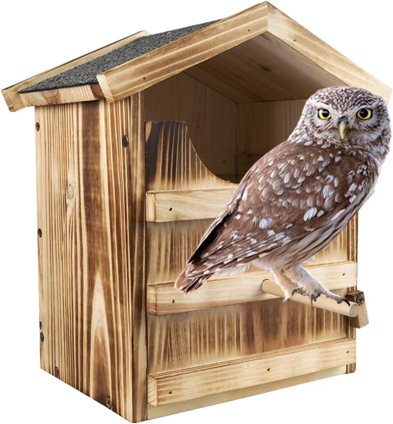 Amazon.com: Owl House, Natural Wooden Owl Box Box for Outside Hanging ...