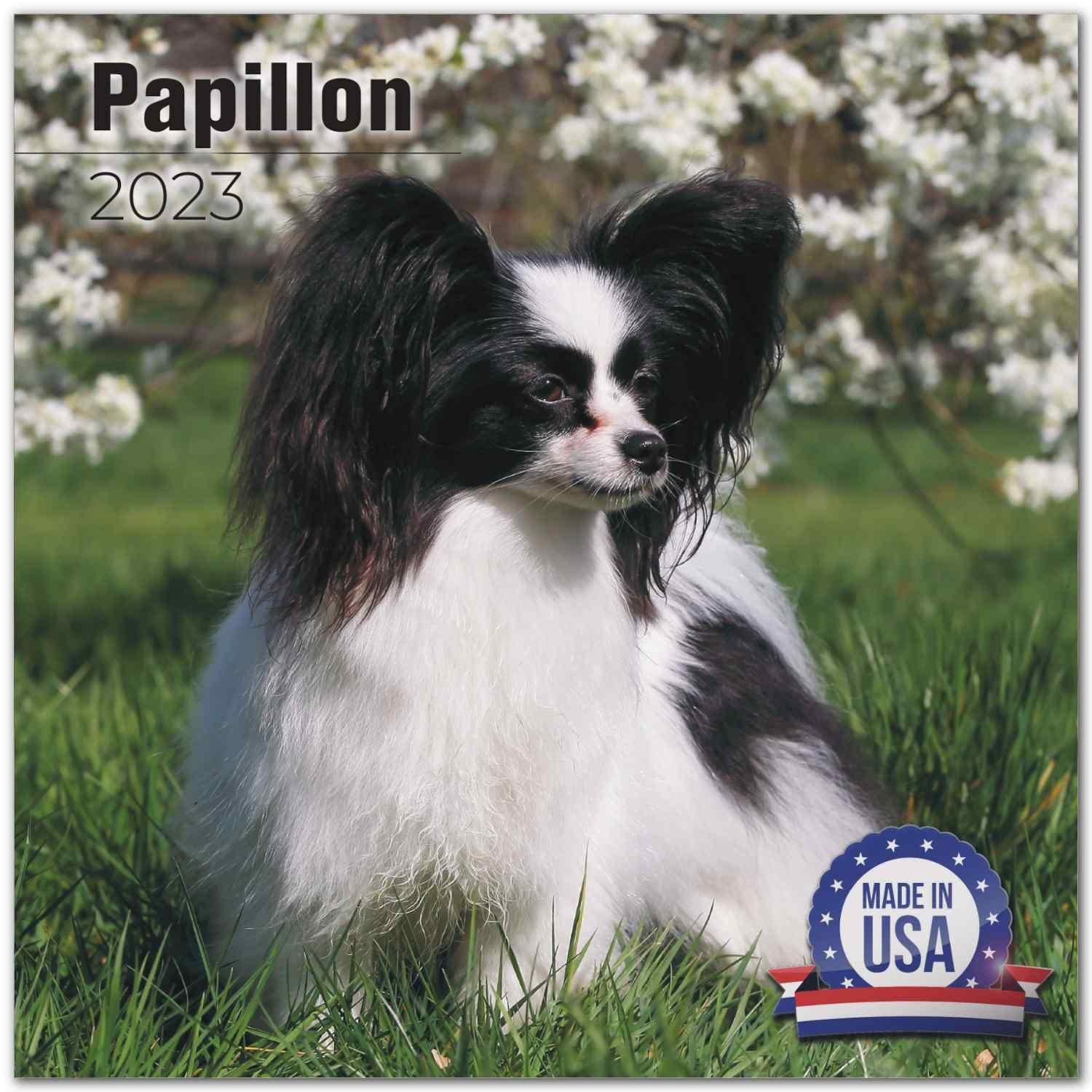 Can A Akita And A Papillon Be Friends