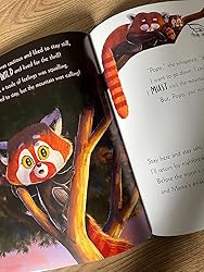 The Pandas Who Promised: Amazon.co.uk: Bright, Rachel, Field, Jim ...