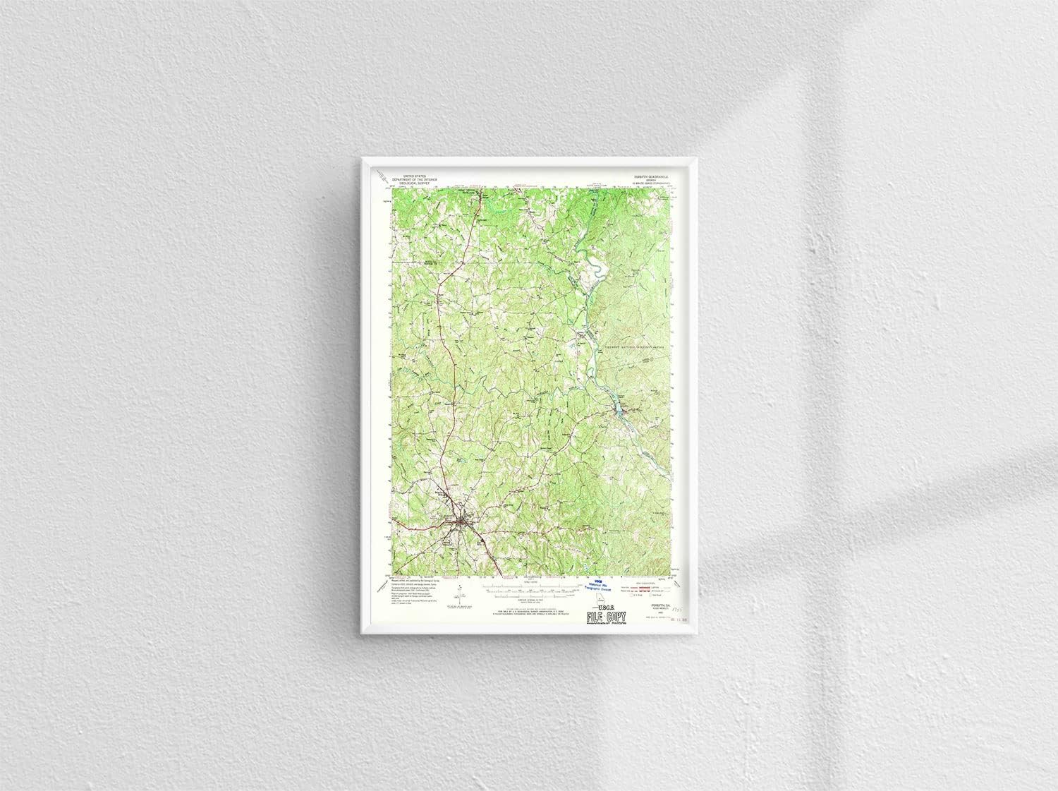 Amazon.com: Forsyth 1951-Juliette-Indian Springs-Georgia 247439 USGS ...