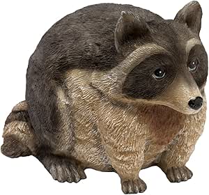 Amazon.com : Evergreen Flag & Garden Racoon Portly Statue : Outdoor ...